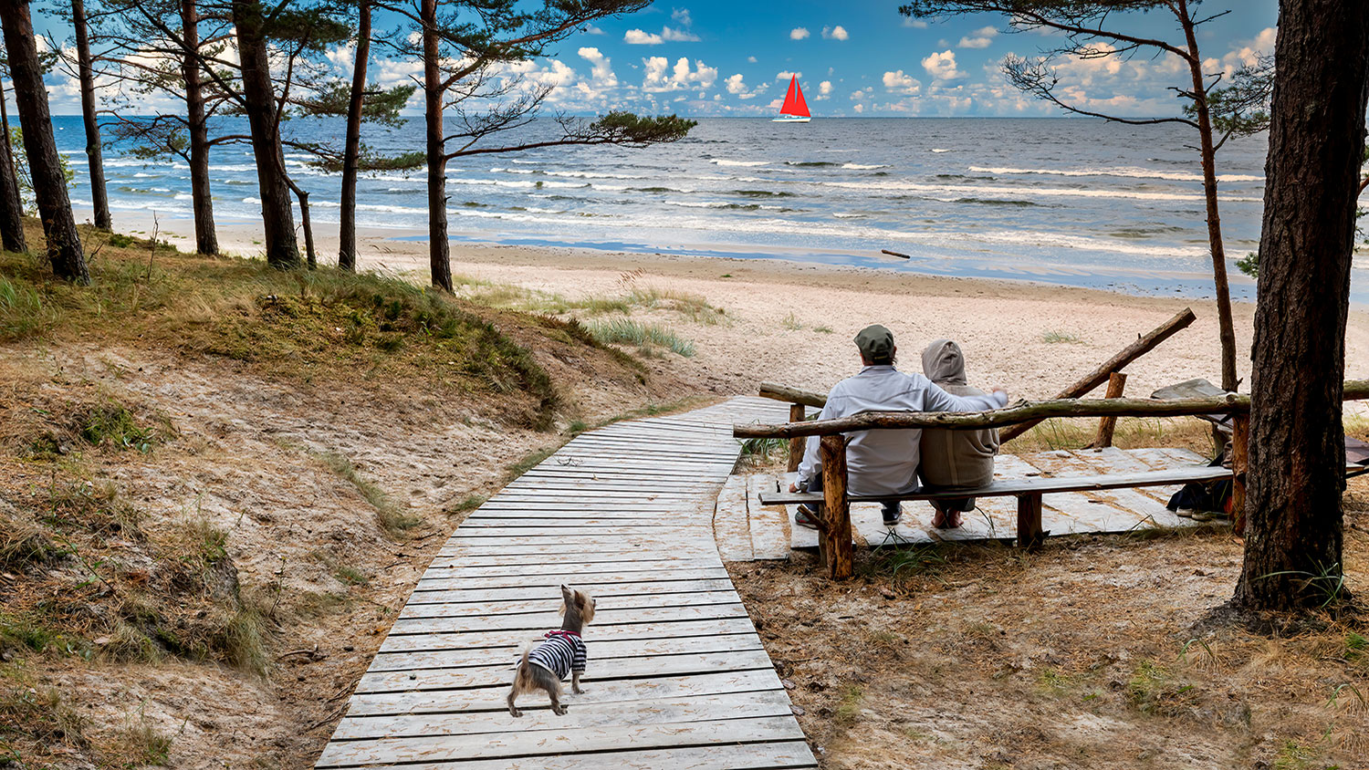 Polnische Ostsee Ferienhaus Mit Hund